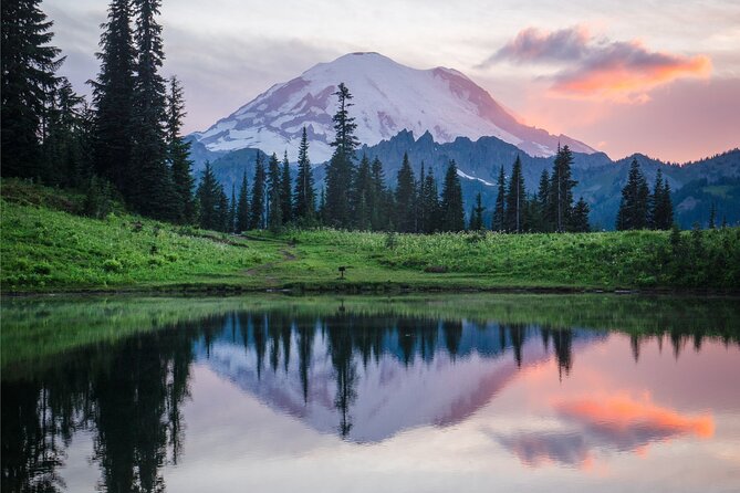 Mount Rainier Full Day Private Tour and Hike (Seattle) - Exploring the Magnificence of Mount Rainier: A Detailed Review of the Full Day Private Tour and Hike from Seattle