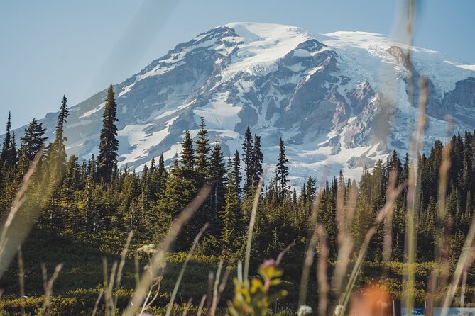Mount Rainier Full Day Private Tour and Hike (Seattle) - Final Thoughts: Is It Worth the Price?