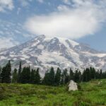Mount Rainier Full Day Small Group Tour - Who Should Book This Tour?