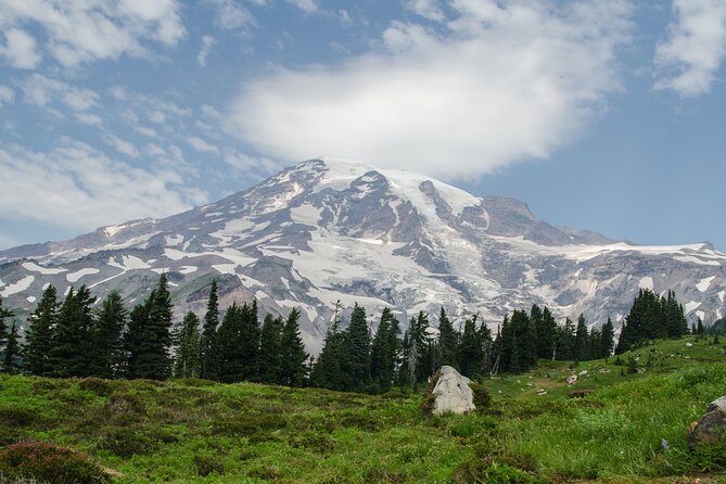 Mount Rainier Full Day Small Group Tour - Who Should Book This Tour?