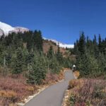 Mount Rainier National Park Day Tour from Seattle - The Practicalities: What You Need to Know