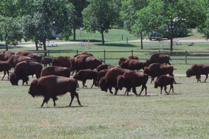Mount Rushmore and Black Hills Tour with Two Meals and a Music Variety Show - An In-Depth Look at the Itinerary and Experience