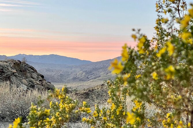 Mountain Sunrise Hike and Meditation in Palm Springs - Authentic Experiences from Reviewers