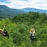 Mountaintop Zipline 2-Hours Activity - Final Thoughts: Who Will Love This Tour?