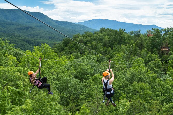 Mountaintop Zipline 2-Hours Activity - Final Thoughts: Who Will Love This Tour?