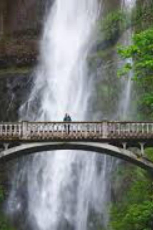 Mt Hood & Columbia River Private tour from Portland - An In-Depth Look at the Tour Experience