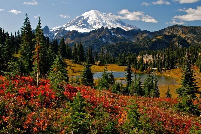 Mt. Rainier National Park Day Tour from Seattle - A Complete Look at the Mt. Rainier Day Tour