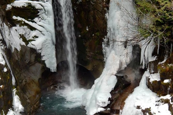 Mt. Rainier National Park Day Tour from Seattle - Frequently Asked Questions