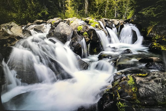 Mt. Rainier National Park Day Tour from Seattle - Final Thoughts