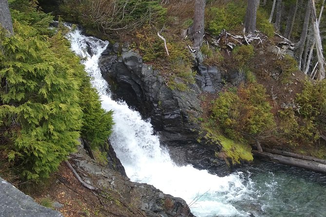 Mt Rainier Private Tour Experience in SUV - The Value of the Tour