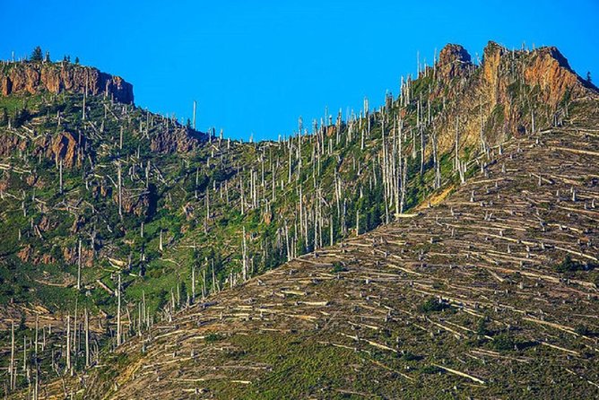 Mt. St. Helens National Monument from Seattle: All-Inclusive Small-Group Tour - Final Thoughts