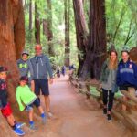Muir Woods and California Wine Country 8 Hour Private Tour - Practical Details and What to Expect