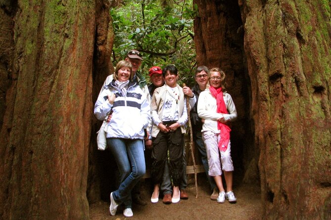 Muir Woods and California Wine Country 8 Hour Private Tour - The Sum Up
