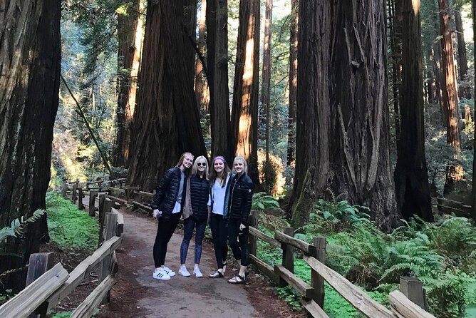 Muir Woods and Golden Gate Bridge 3-hour Private Group Tour - A Deep Dive into the Experience