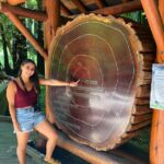 Muir Woods and Golden Gate Bridge 3-hour Private Group Tour - Transport, Timing, and Overall Value