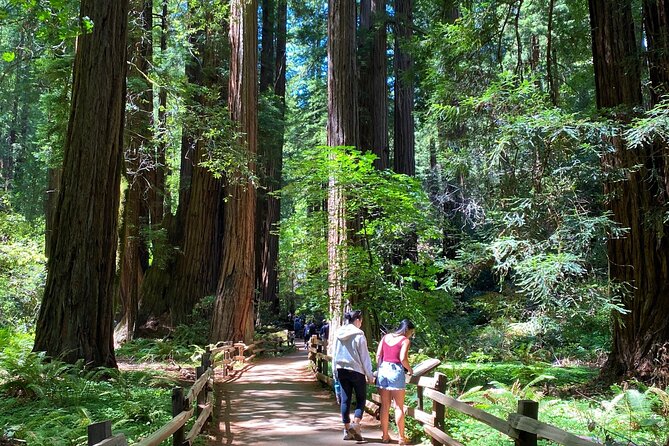 Muir Woods and Golden Gate Bridge 3-hour Private Group Tour - Who Will Love This Tour?