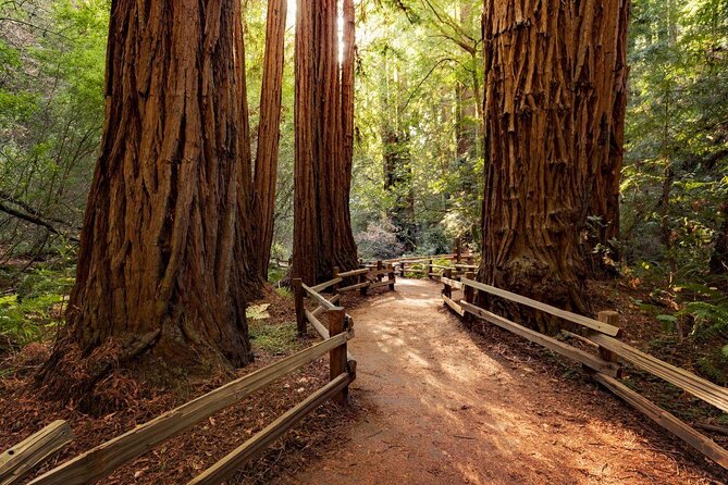Muir Woods and Sausalito Afternoon Tour Small-Group Half-Day - Key Points