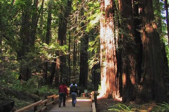 Muir Woods and Sausalito Morning Tour Small-Group Half Day - Transportation and Group Size