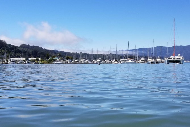 Muir Woods and Sausalito Morning Tour Small-Group Half Day - Who Should Consider This Tour?