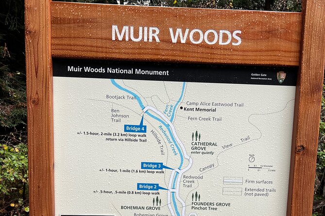 Muir Woods and Sausalito Private Tour - The Experience: What to Expect on the Tour