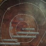 Muir Woods and Sausalito Private Tour - Transportation and Logistics: Why It Matters