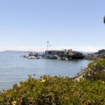 Muir Woods and Sausalito Tour Entrance Fee Included - The Value of This Tour