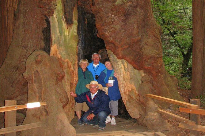 Muir Woods Forest Morning and Afternoon Private Tours - What Makes This Tour Stand Out