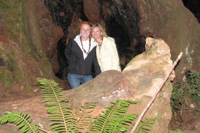 Muir Woods Forest Morning and Afternoon Private Tours - Who Would Enjoy This Tour?