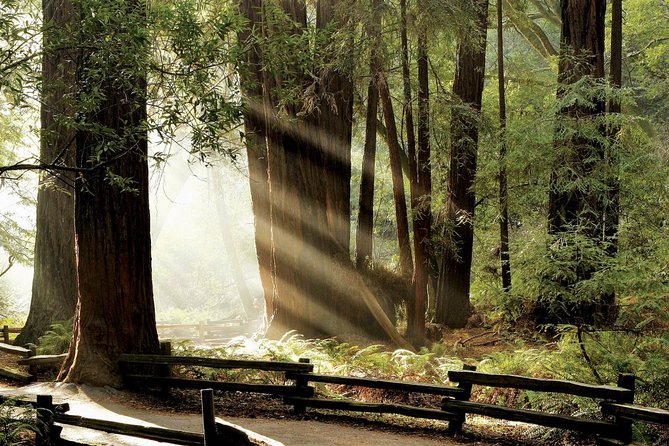 Muir Woods & Napa-8hr-Private Scenic Wine Tour From San Francisco - What Makes This Tour Stand Out?