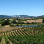 Muir Woods & Napa-8hr-Private Scenic Wine Tour From San Francisco - FAQs