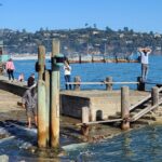 Muir Woods, Sausalito and Ferry back to Fisherman's Wharf - Practical Details: What This Tour Means for You