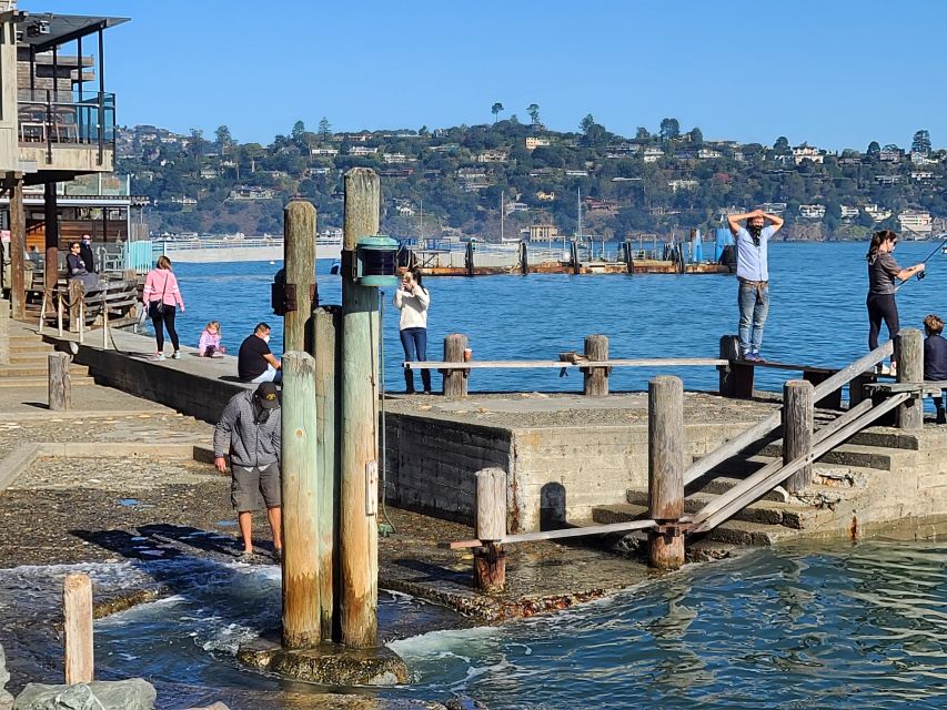 Muir Woods, Sausalito and Ferry back to Fisherman's Wharf - Practical Details: What This Tour Means for You