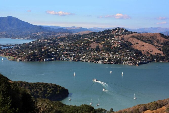 Muir Woods, Sausalito and Tiburon Day Trip from San Francisco - FAQs