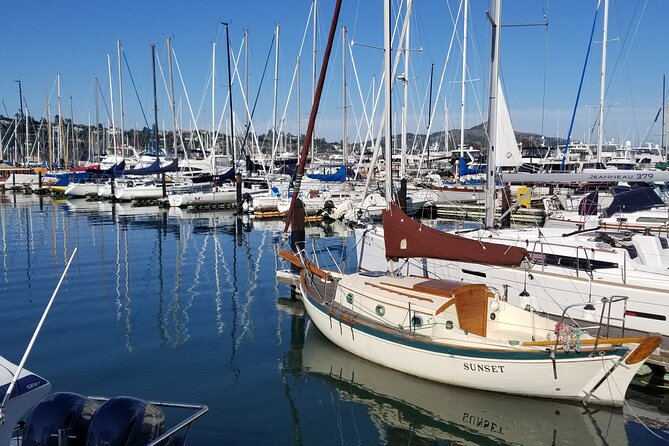 Muir Woods, Sausalito, Marin Headlands, Lighthouse Private Tour - Who Should Consider This Tour?
