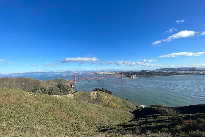 Muir Woods, Sausalito, Marin Headlands, Lighthouse Private Tour - The Sum Up
