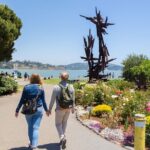 Muir Woods & Sausalito (Return by Bus or Ferry) - Pricing and Value