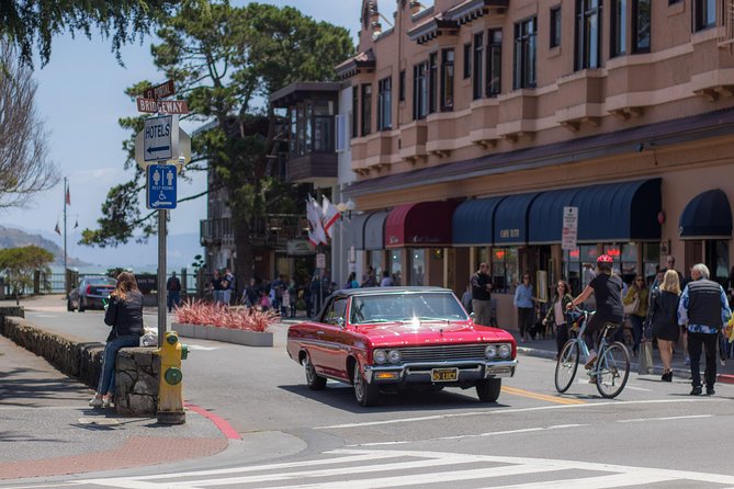 Muir Woods & Sausalito (Return by Bus or Ferry) - The Sum Up