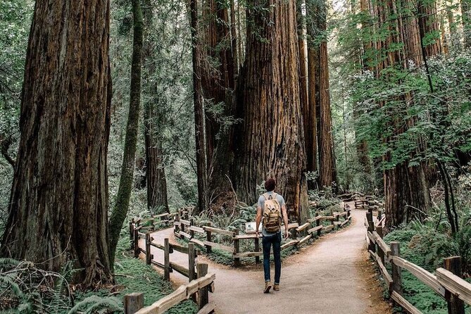Muir Woods & Sausalito: Small Group Experience - A Detailed Look at the Experience