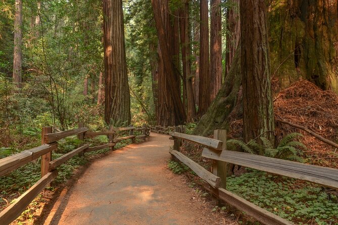 Muir Woods Self-Guided Driving and Walking Audio Tour - Who Will Love This Tour?