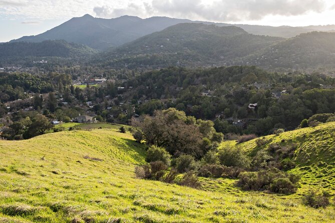 Muir Woods Self-Guided Driving and Walking Audio Tour - Final Thoughts