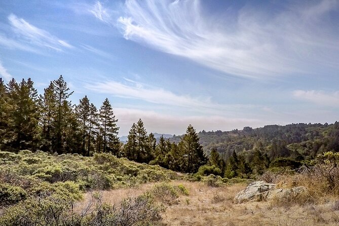 Muir Woods Self-Guided Driving and Walking Audio Tour - FAQs