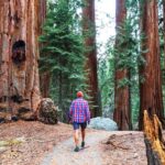 Muir Woods & Wine Tour: Redwoods & Tastings at 3 Wineries - The Authentic Experience: What Travelers Say