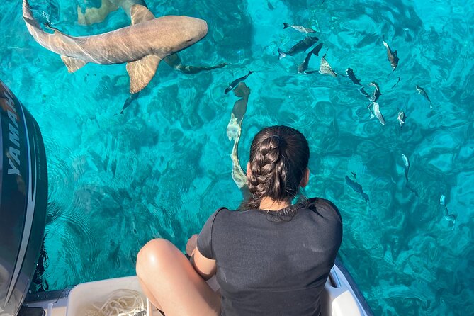 Multi-Activity Private Charter Boat in Key largo - Key Points