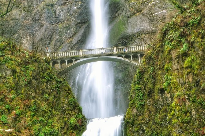 Multnomah Falls and Columbia River Gorge Half-Day Hiking Tour - Why This Tour Offers Solid Value