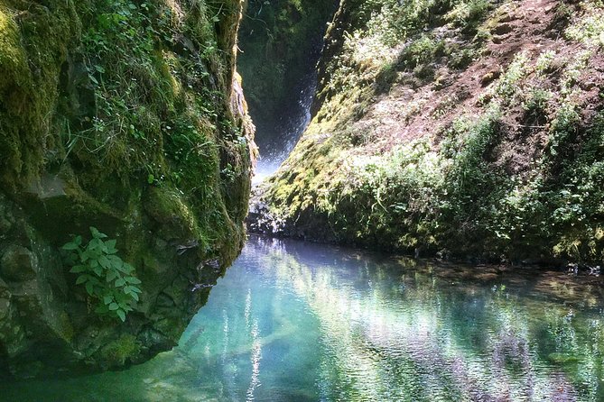 Multnomah Falls and Columbia River Gorge Half-Day Hiking Tour - Who Should Consider This Tour?