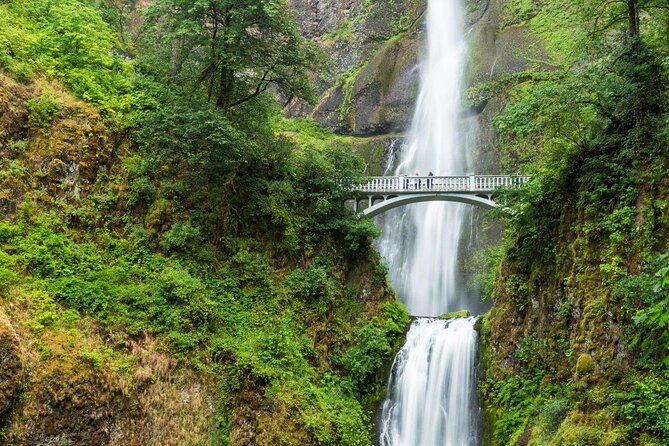 Multnomah Falls E-Bike Waterfall Tour (2+ Hours) - Key Points