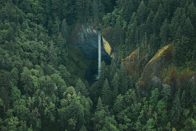 Multnomah Falls Waterfall Air Tour by Envi Adventures - A Closer Look at the Experience
