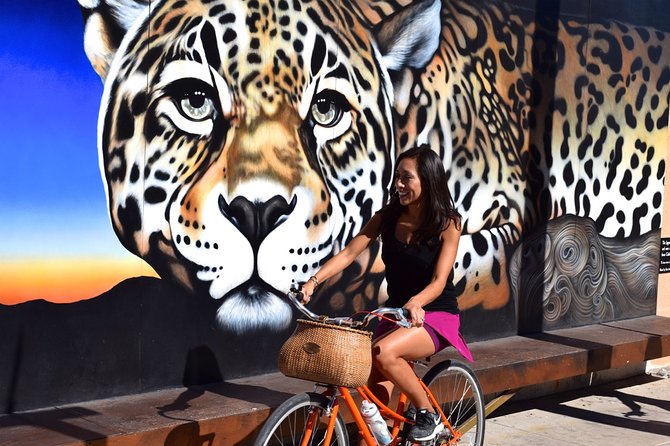 Mural Bike Tour - Frequently Asked Questions
