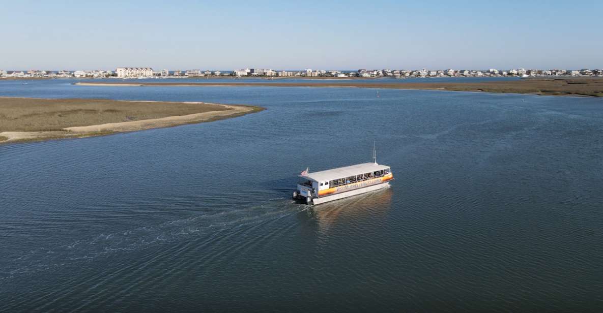 Murrells Inlet: Saltwater Marsh Eco Tour w/ Marine Biologist - The Itinerary and What Youll Experience