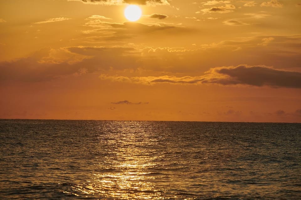 Murrells Inlet: Sunset Sealife Cruise - Practical Details and Tips